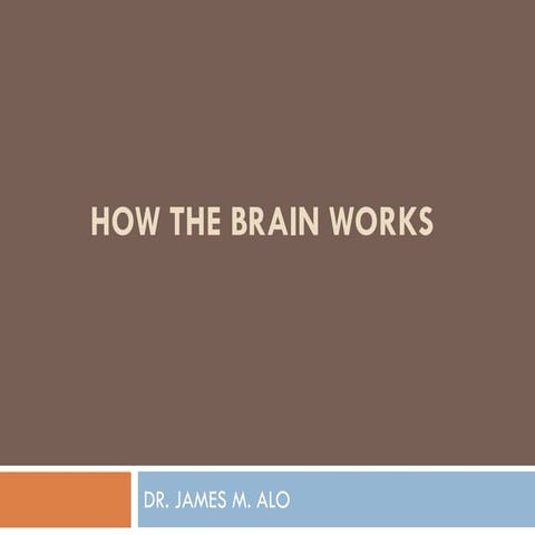 How the brain works | PDF