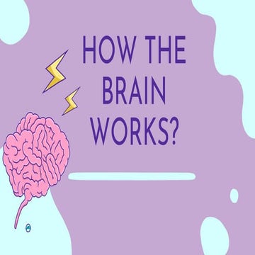 HOW THE BRAIN WORKS .pptx