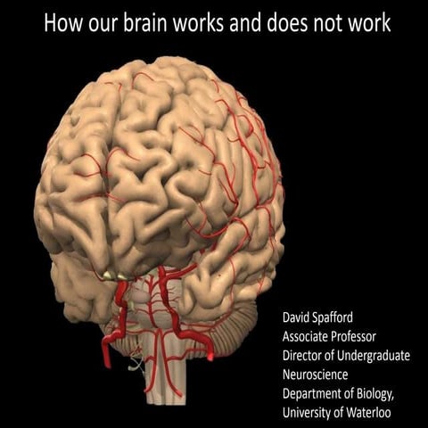 How the brain works and does not work - Erin Legion Hall - March 8 2012 ...
