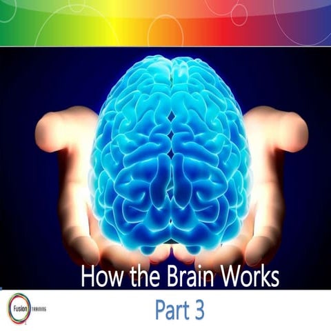 How the Brain Works part 3 | PPT
