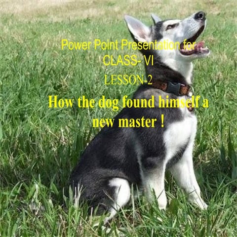 How the dog found himself a new master | PPT