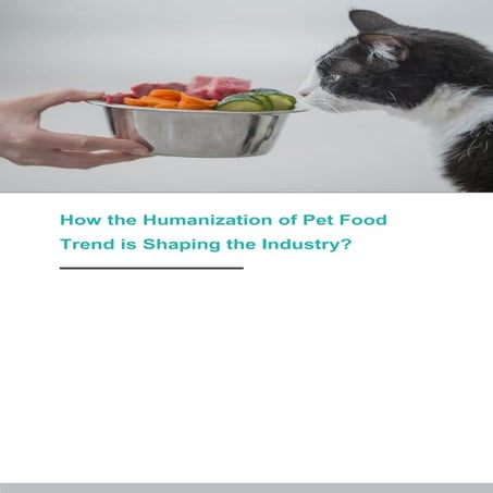 How the Humanization of Pet Food Trend is Shaping the Industry.pdf