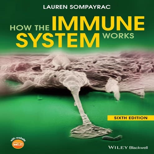 How does the immune system work ? | PDF