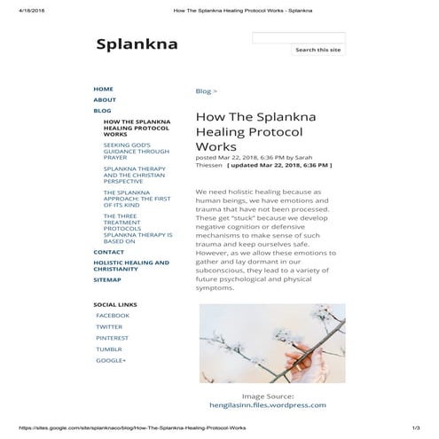 How the splankna healing protocol works | PDF