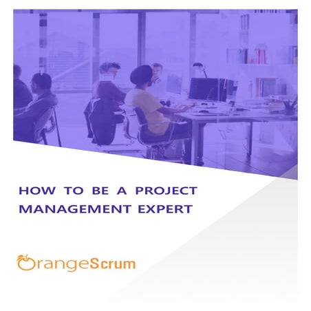 How to Be a Project Management Expert | PDF