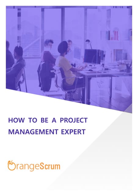 Successful Traits of Project Manager.pptx