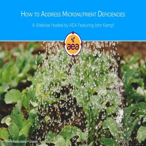 How to Address Micronutrient Deficiencies | PPT