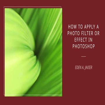 How to Apply a Photo Filter or Effect.pptx