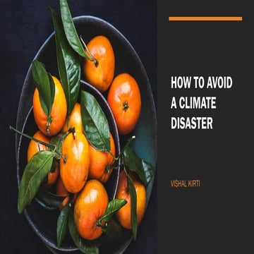 How to avoid a climate disaster | PDF