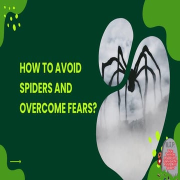 How To Avoid Spiders And Overcome Fears? | PPT