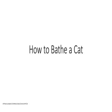 How to bathe a cat | PPTX