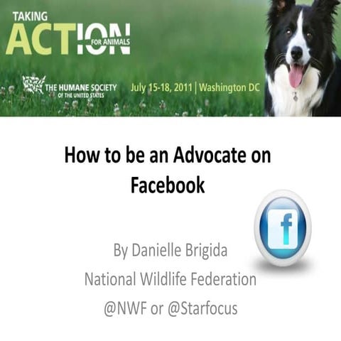 How to be an Advocate on Facebook | PPTX | Social Networking | Internet