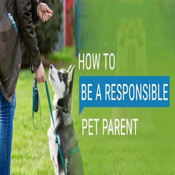 How to Be A Responsible Pet Parent | PDF
