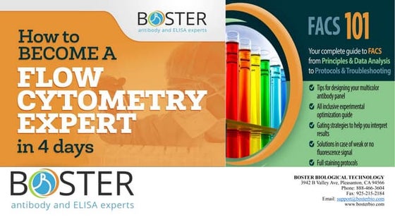 Flow-Cytometer.pdf | Biological Sciences | Science