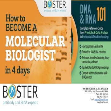 How to become a molecular biologist/PCR expert in 4 days | PPTX ...