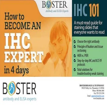 How to become an IHC expert in 4 days | PDF