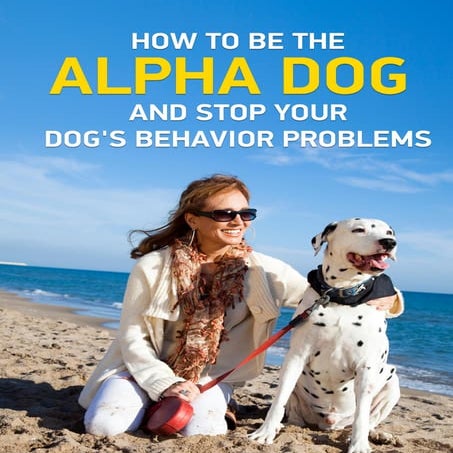 How To Be The Alpha Dog | PDF