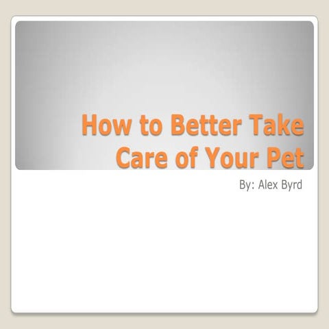 Pet Care | PPTX