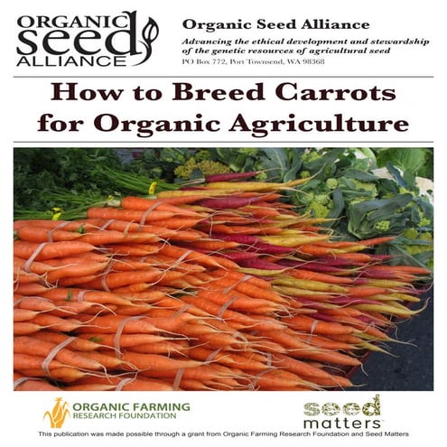 How to breed carrots for organic agriculture | PDF