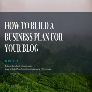 How to Build a Business Plan for Your Blog | PDF