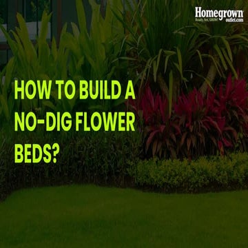 How to build a no-dig flower beds - Homegrown Outlet | PDF