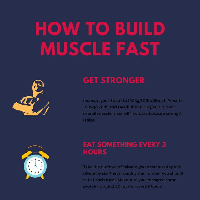 How to build muscle fast? | PDF
