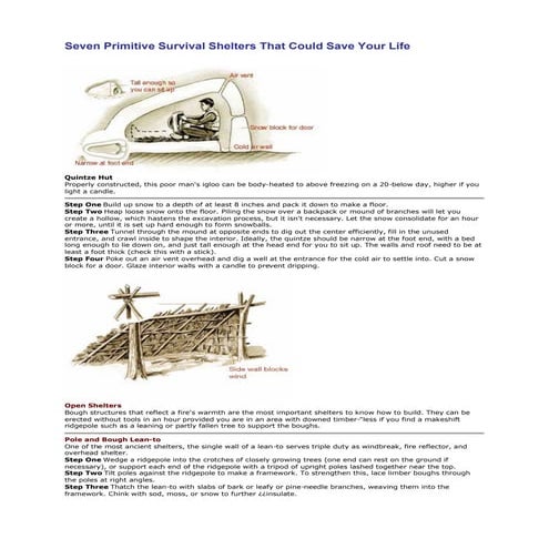 How to build primitive shelters | PDF