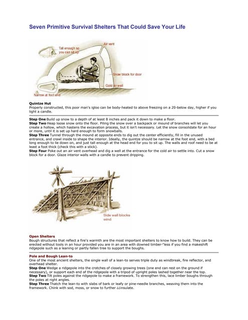 Basicshelterbuilding | PPT