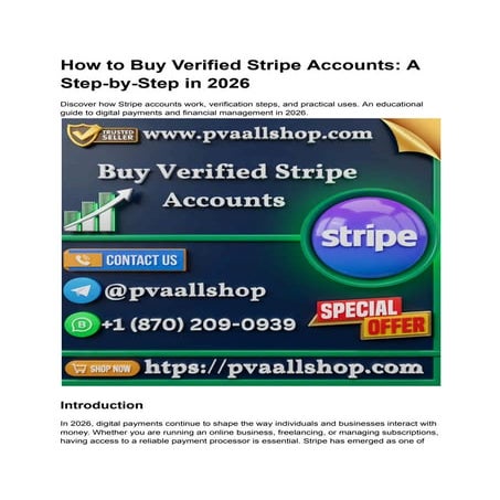 Company Presentation (Stripe) | PDF