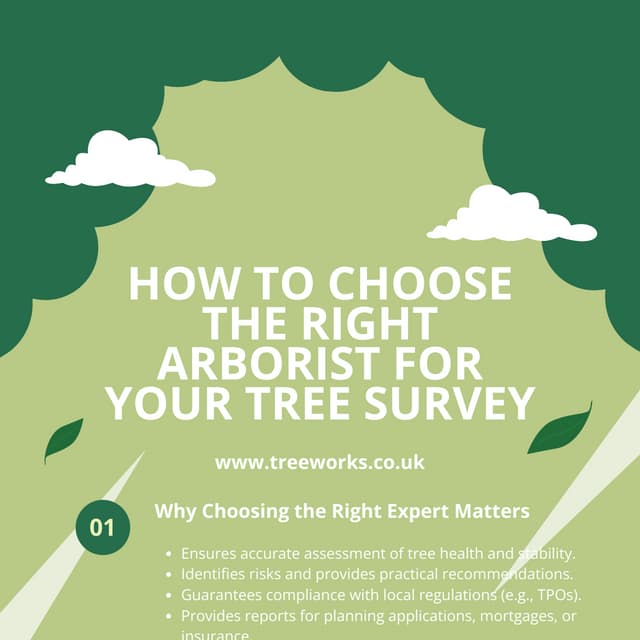 How to Choose the Right Arborist for Your Tree Survey.pdf