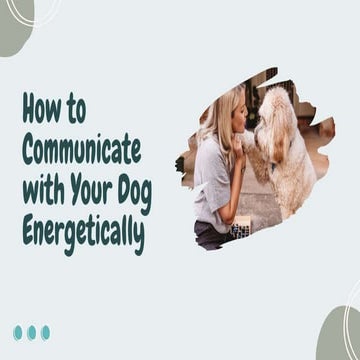 How to Communicate with Your Dog Energetically.pptx | Dogs | Pets