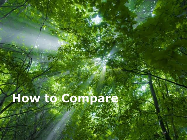 Comparing Poems | DOC