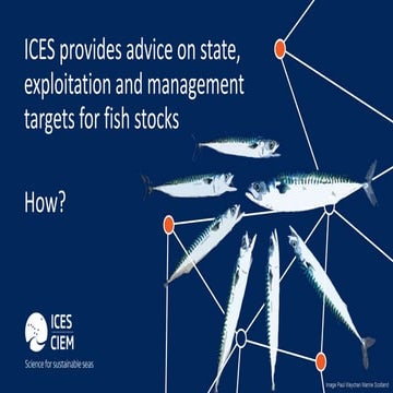 ICES How to count fish for management | PPTX | Fishing Sports | Sports