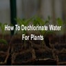 How to dechlorinate water for plants | PDF