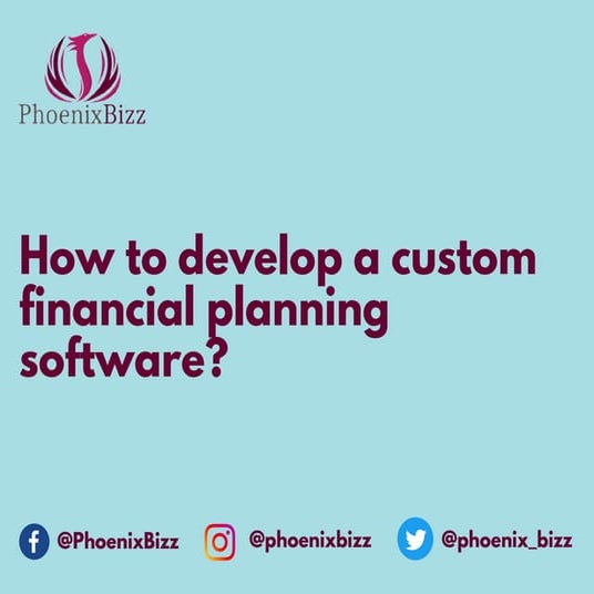 How to develop a custom financial planning software? | PDF