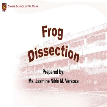 Frog dissecting | PPT