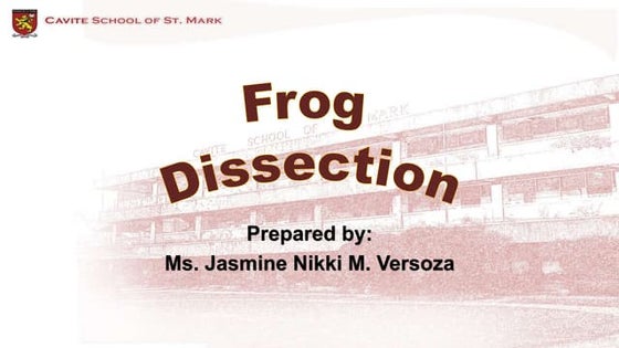 Frog Dissection | PPT | Biological Sciences | Science