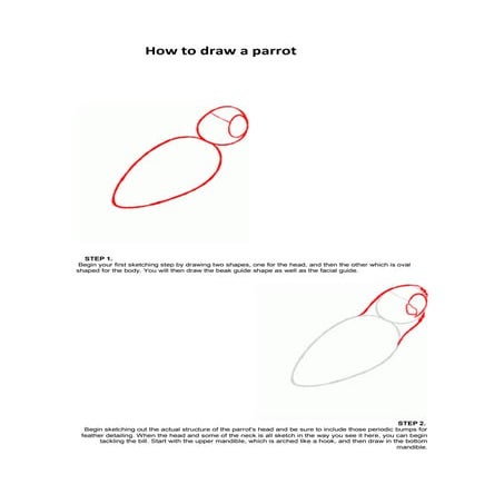 How to draw a parrot | PDF