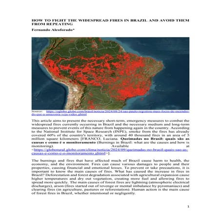 HOW TO FIGHT THE WIDESPREAD FIRES IN BRAZIL AND AVOID THEM FROM ...