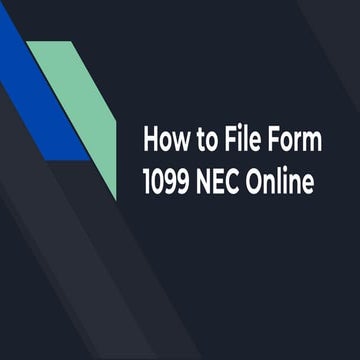 How to File Form 1099 NEC Online | A Complete Guide | PPT