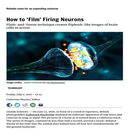 How to film firing neurons inside science | PDF | Brain and Nervous ...