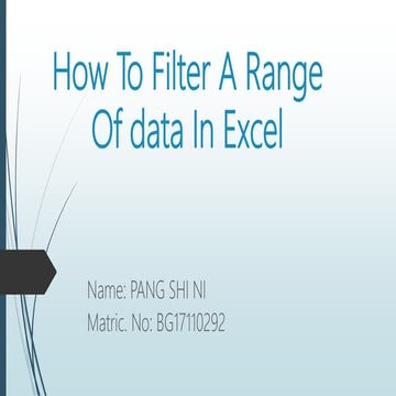How to filter a range of data in excel | PPT