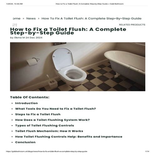 How to Fix a Toilet Flush_ A Complete Step-by-Step Guide – Gold ...