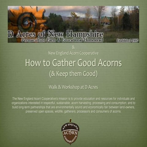 HowToGatherGoodAcornsAtDAcres.pptx | Gardening | Home & Garden
