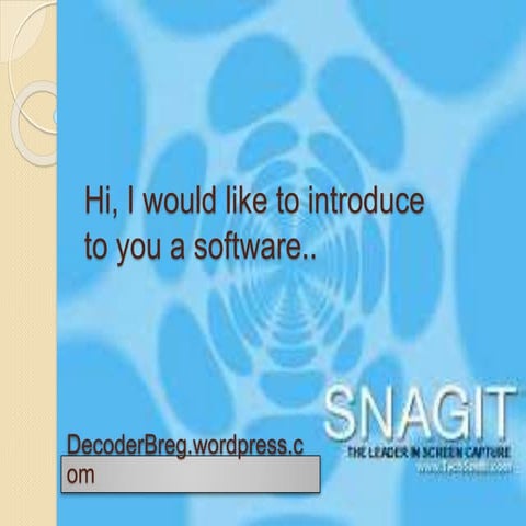 Snag It Overview | PPT