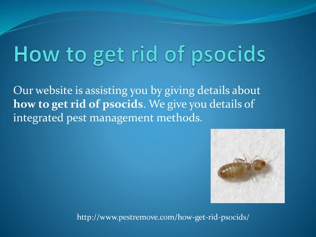 White fly control methods | PPTX