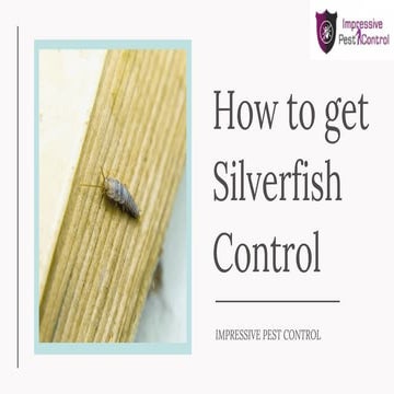 How to get Silverfish Control | Impressive Pest Control | PDF ...