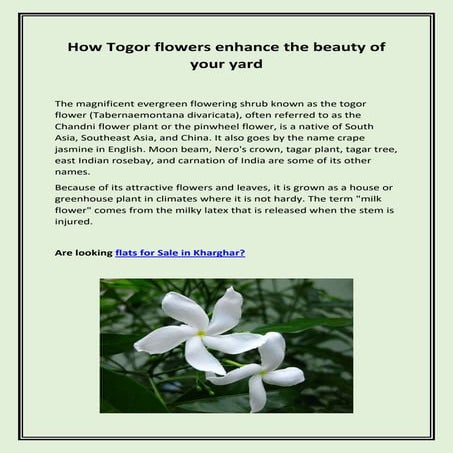 How Togor flowers enhance the beauty of your yard.pdf