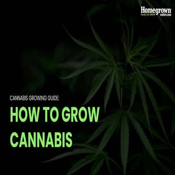 How to Grow Cannabis? | PDF
