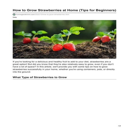 How to Grow Strawberries at Home Tips for Beginners.pdf